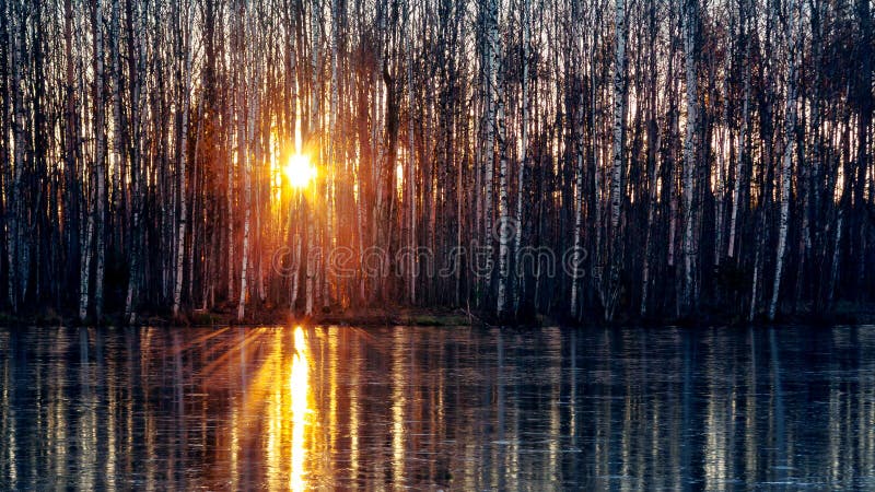 Sunset Sun is Reflected in the River Water Stock Image - Image of ...