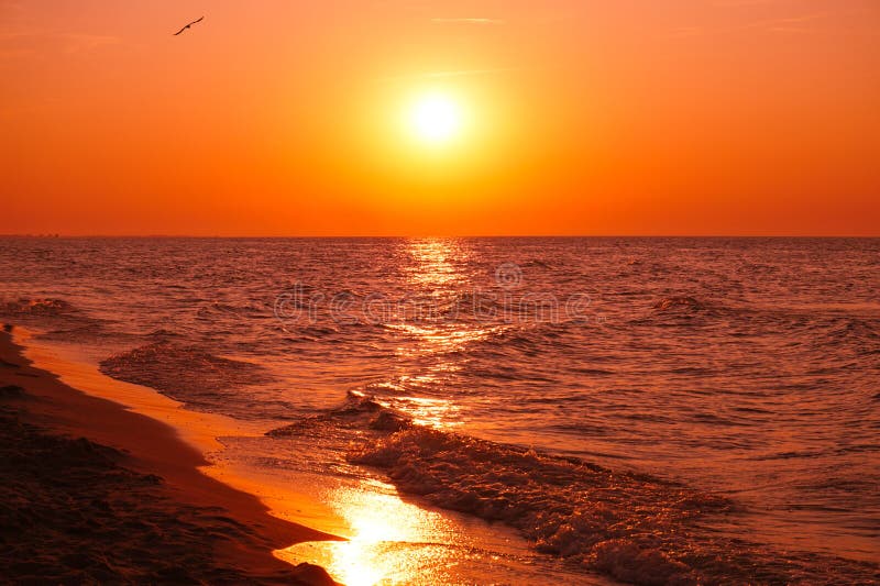 Sunset - Sun Reflecting in Sea/ Ocean, Shore Stock Photo - Image of ...