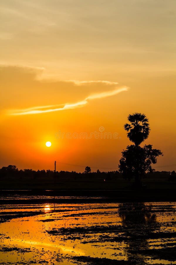 Sunset. stock photo. Image of background, ocean, beautiful - 31735520