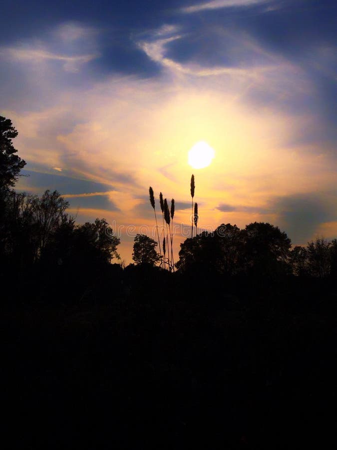 Sunset stock photo. Image of huge, cloudy, abstract, blue - 80444664