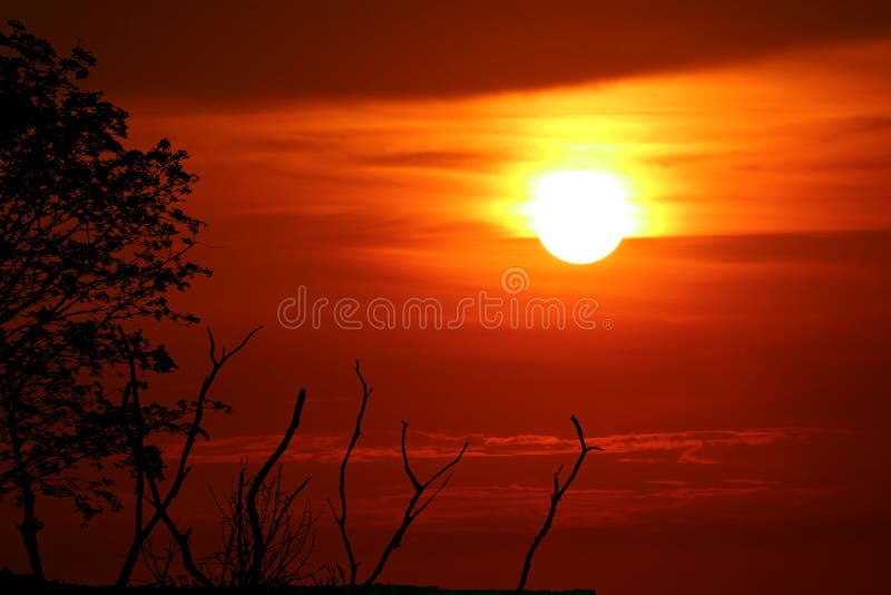 Sunset Sundawn Silhouette Dry Tree Colorful Cloud Sky Stock Photo ...