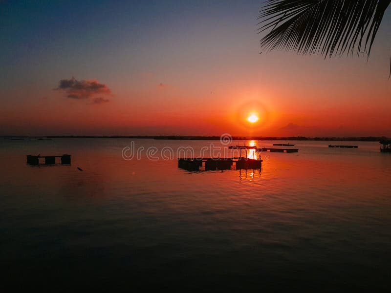 Sunset Sunny Hot River Trees Stock Image - Image of morning, river ...
