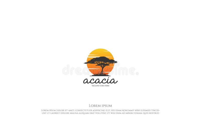 Acacia Tree Stock Illustrations – 3,707 Acacia Tree Stock Illustrations ...
