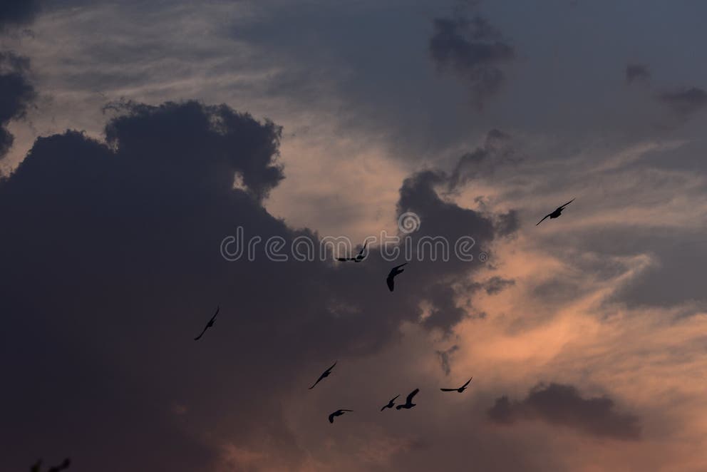 Sunset, Sunrise with Clouds, Light Rays and Other Dramatic Effect ...