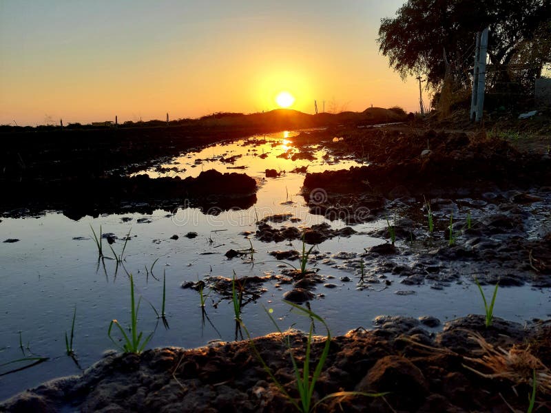 Sunset and Sunrise Collection Stock Image - Image of farm, landscape ...
