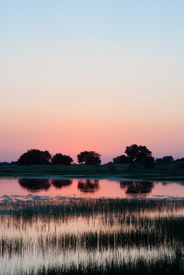 Sunset or Sunrise at Lake, with Trees and Grass Reflection Stock Image ...