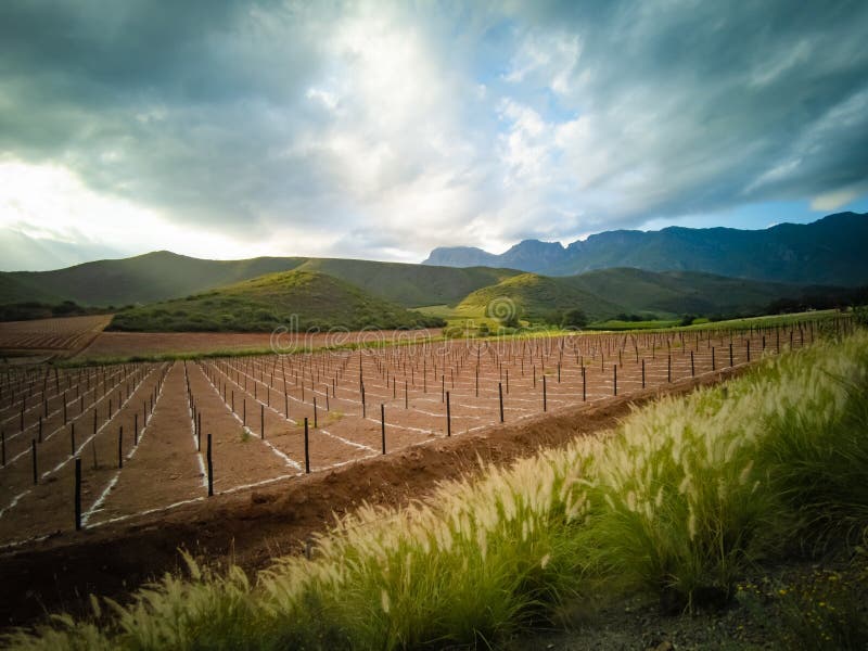 Sunset, Sunrise Over Farm Land Stock Photo - Image of farmland, grass ...