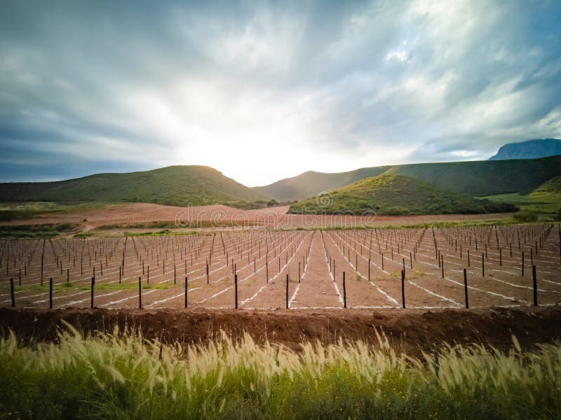 Sunset, Sunrise Over Farm Land Stock Image - Image of season ...
