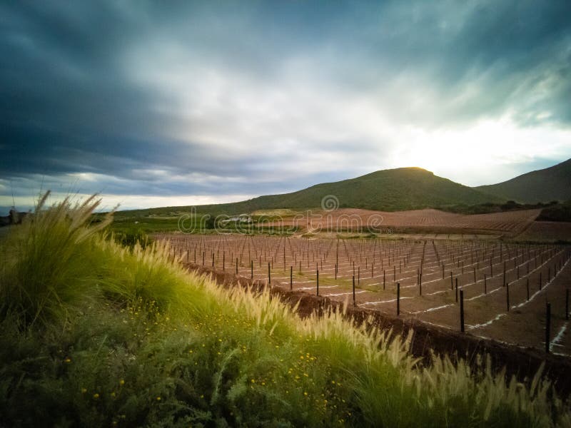 Sunset, Sunrise Over Farm Land Stock Image - Image of ranch, field ...