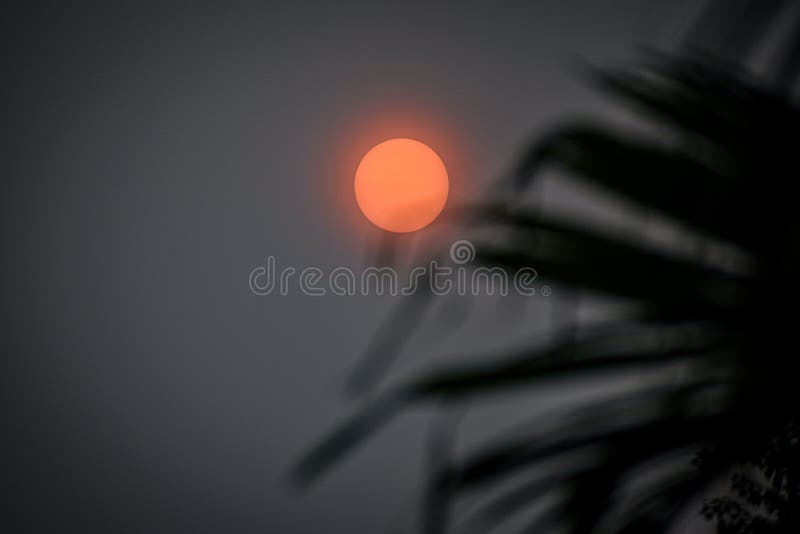 Sunset Sunrise Sun Shadow Reflection Stock Image - Image of shadow ...