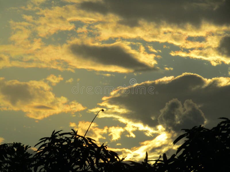 Sunset stock photo. Image of clouds, jamaica, tree, dusk - 128798920