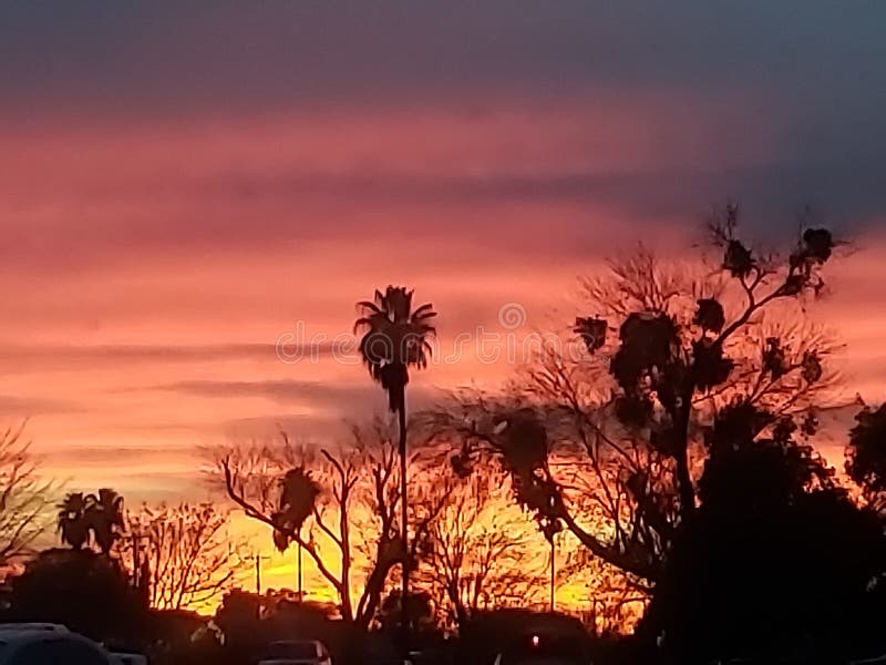 Sunset stock image. Image of sunset, peaceful, trees - 156498327