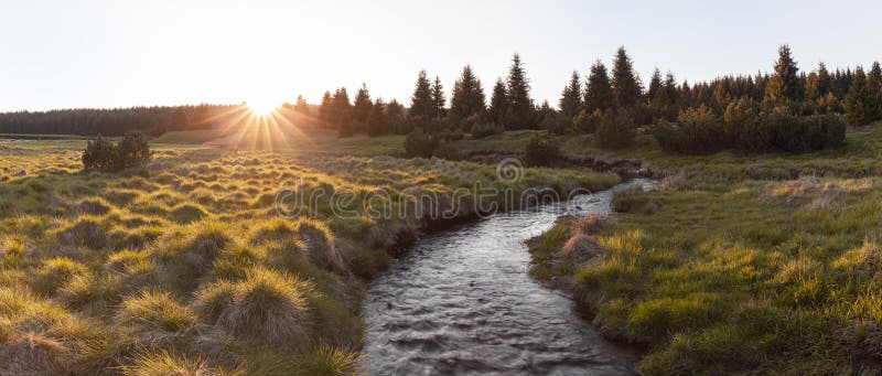 Sunset Stream in Forest. a Peaceful Stream Flows through a Dense Forest ...