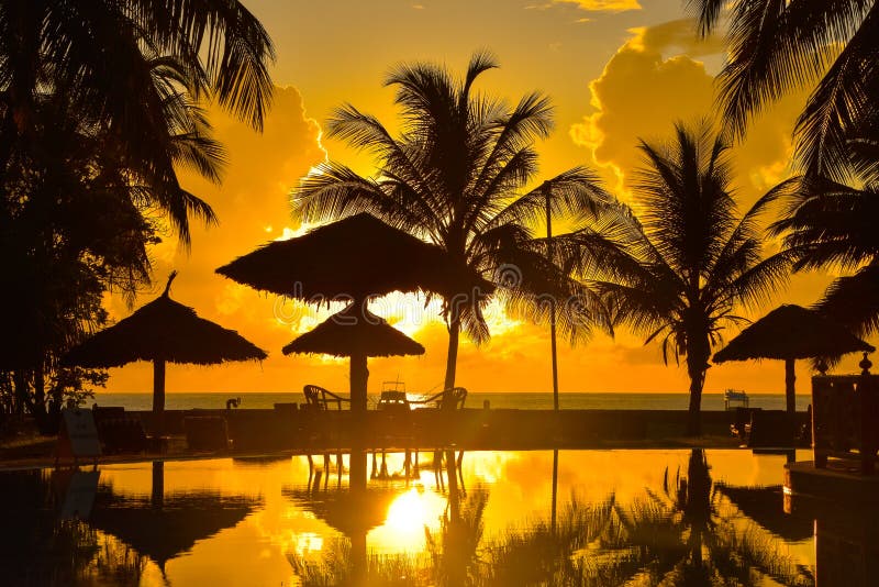 1,047 Elephant Beach Sunset Stock Photos - Free & Royalty-Free Stock ...