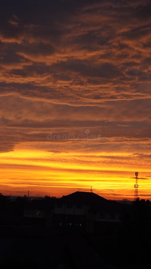 A Lot of Super Bright Red Cherry Tomatoes Stock Image - Image of exist ...