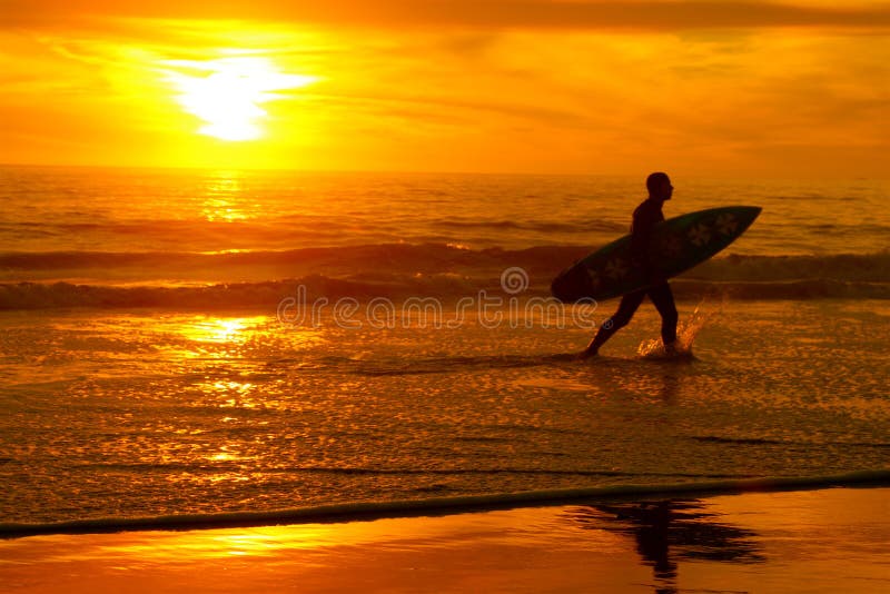 Surfing at Sunset stock image. Image of adventure, holding - 34144575