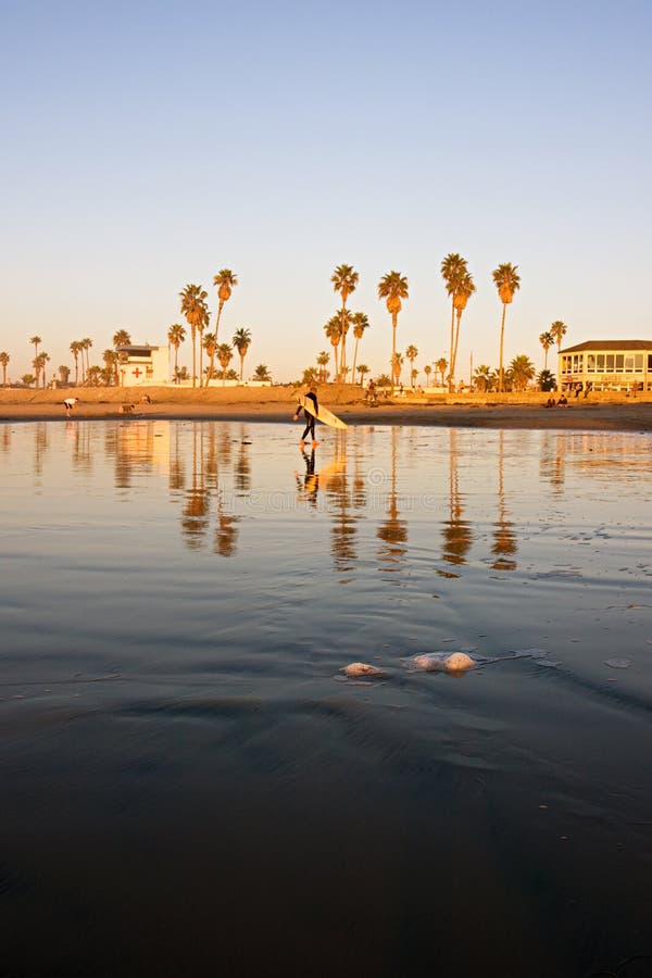 Sunset Surfer on a Beach stock image. Image of natural - 207563947