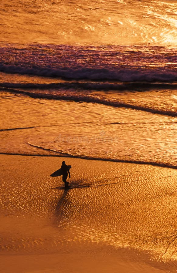 Sunset surfer editorial image. Image of beach, surf, surfing - 58696615