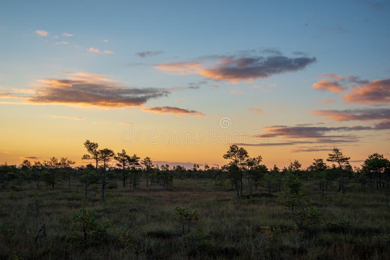 Sunset in Swamp Area with Empty Sky Stock Image - Image of swamp, hill ...