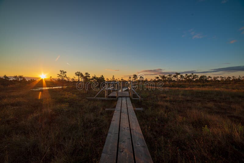Sunset in Swamp Area with Empty Sky Stock Image - Image of colors ...