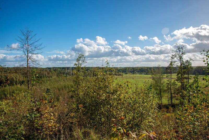 Sunset in Swamp Area with Empty Sky Stock Photo - Image of travel ...