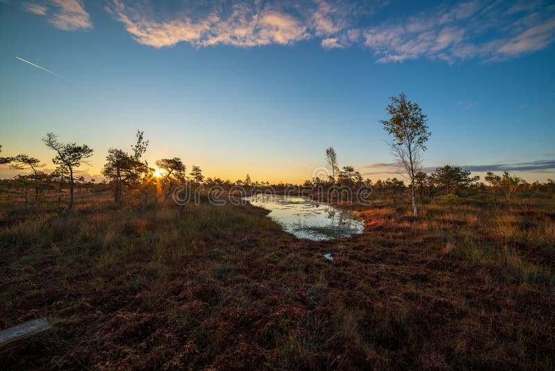 Sunset in Swamp Area with Empty Sky Stock Image - Image of swamp, hill ...