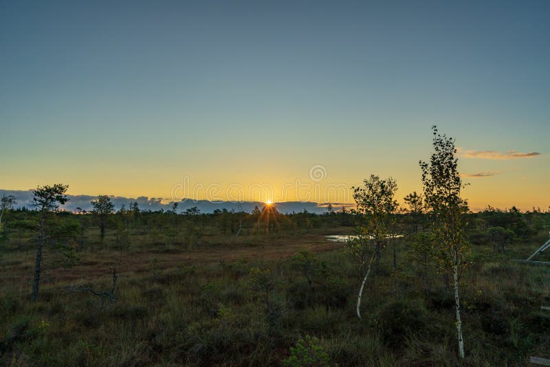 Sunset in Swamp Area with Empty Sky Stock Photo - Image of environment ...