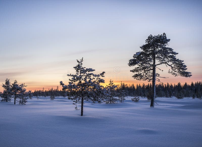Sunset in the swamp stock image. Image of outside, north - 68214109