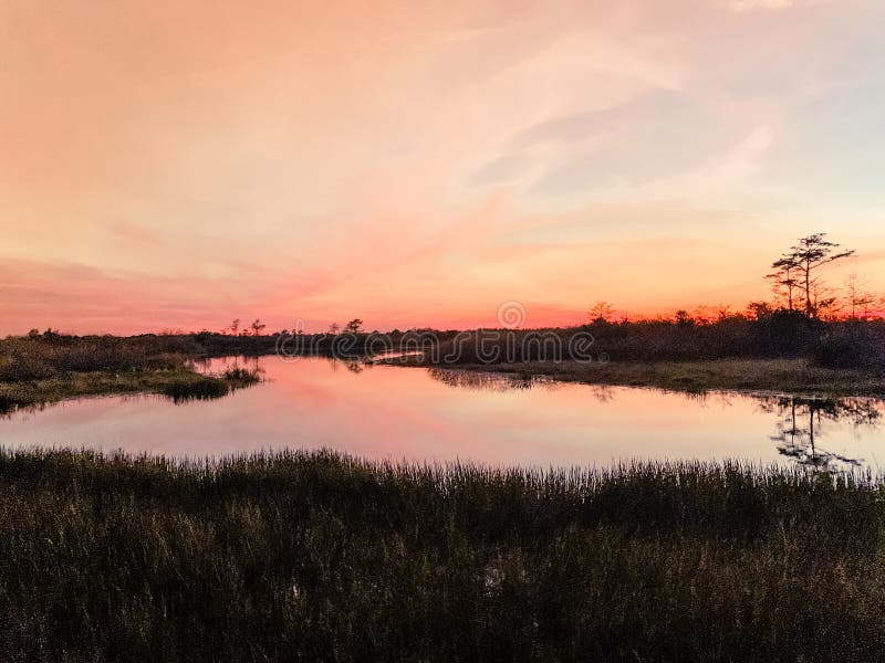 Sunset in the Swamp is Reflecting Stock Image - Image of wetland ...