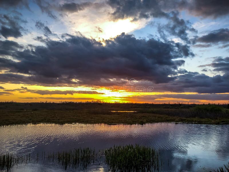 Sunset in the swamp stock image. Image of coast, lake - 110806067