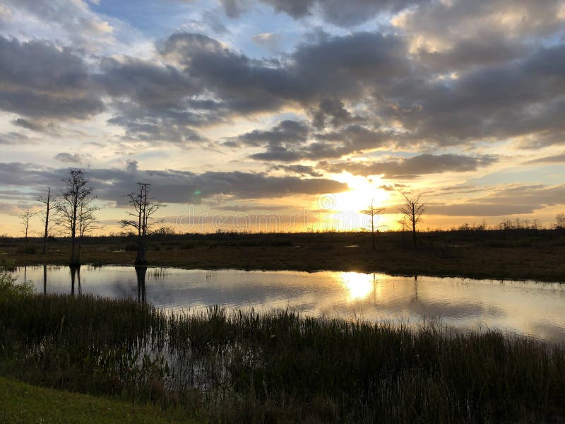 Sunset in the swamp stock image. Image of bayou, cloud - 110814031