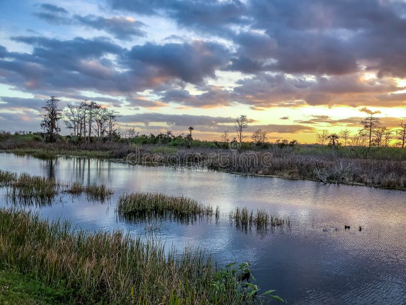 Sunset in the swamp stock photo. Image of florida, pastel - 110814218