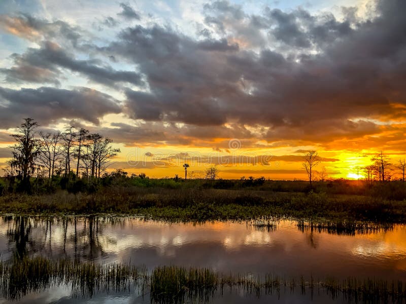 Sunset in the swamp stock image. Image of lagoon, orange - 110814259