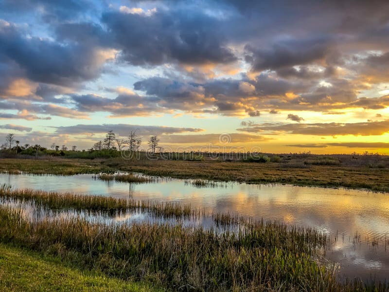 Sunset in the swamp stock photo. Image of carolina, park - 110814224