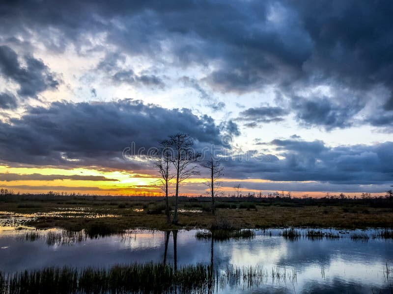 Sunset in the swamp stock image. Image of evening, marsh - 110817071