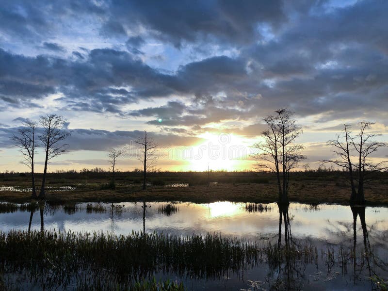 Sunset in the swamp stock photo. Image of nature, carolina - 110817204