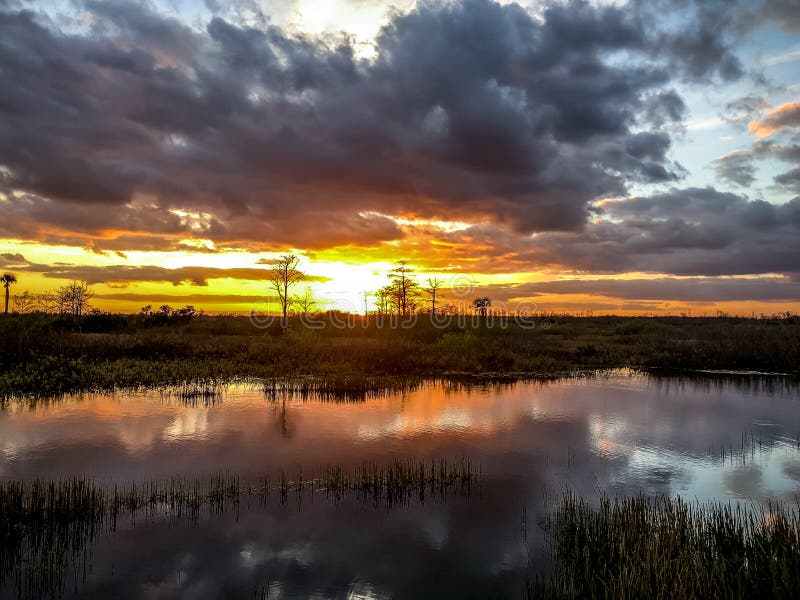 Sunset in the swamp stock photo. Image of morning, aquatic - 110817292
