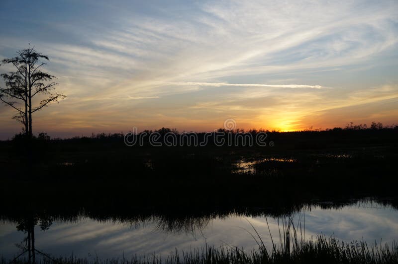 Sunset in the swamp stock image. Image of nature, dusk - 165504203