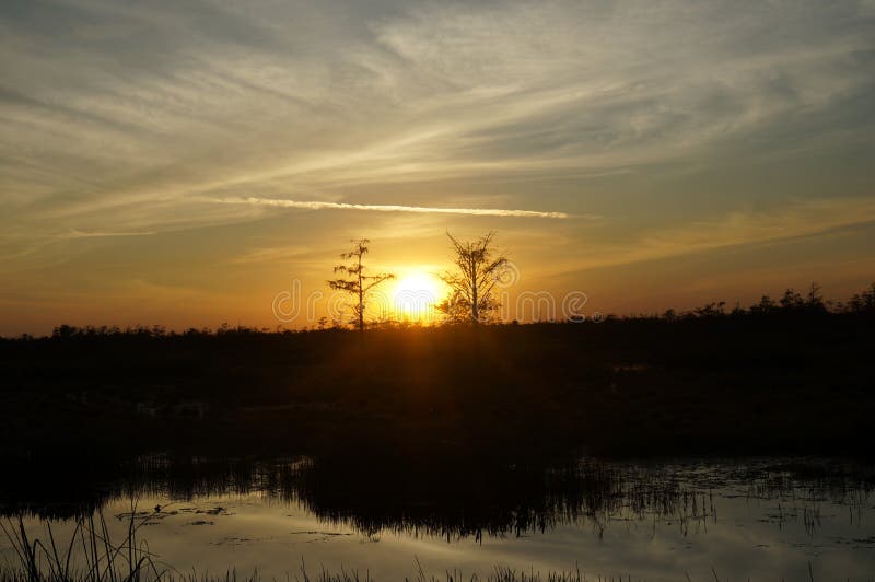 Sunset in the swamp stock photo. Image of dusk, grass - 165504206