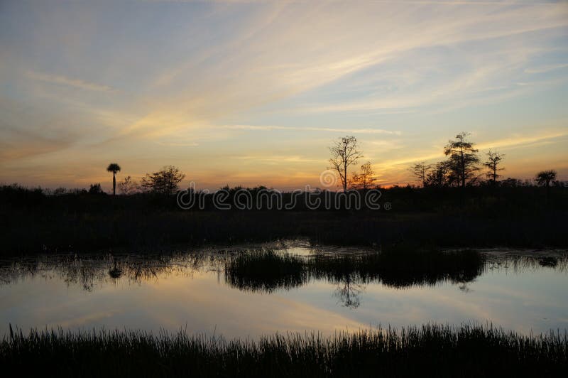 Sunset in the swamp stock photo. Image of gulf, nature - 165504260