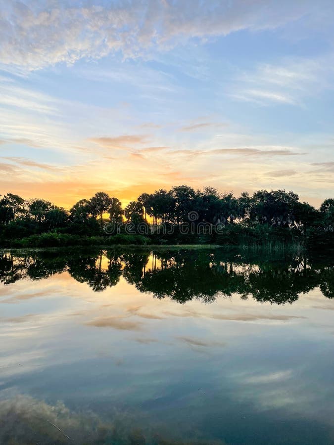 Sunset in the swamp stock image. Image of grass, mist - 271572369