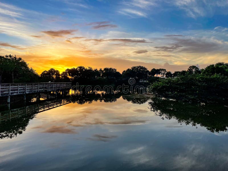 Sunset in the swamp stock image. Image of florida, lake - 271572371