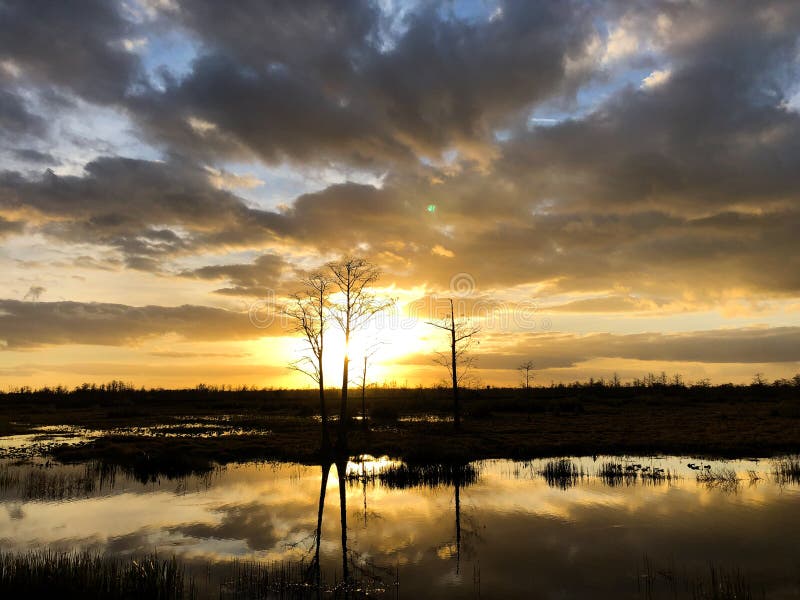 Jaimie Tuchman (Nolamissesyou) - Photographer profile