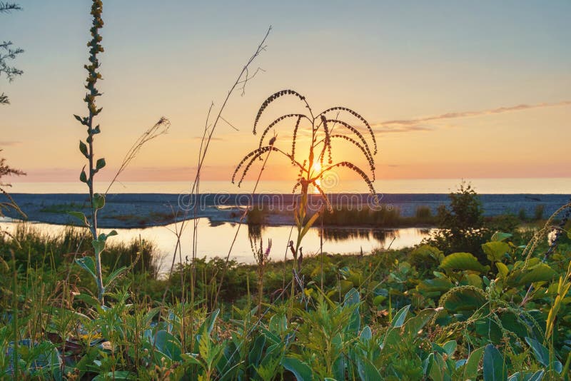 Sunset and swamp stock image. Image of colorful, beautiufl - 106301183