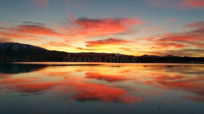 Sunset at Swan Lake stock photo. Image of pink, reflection - 71789520