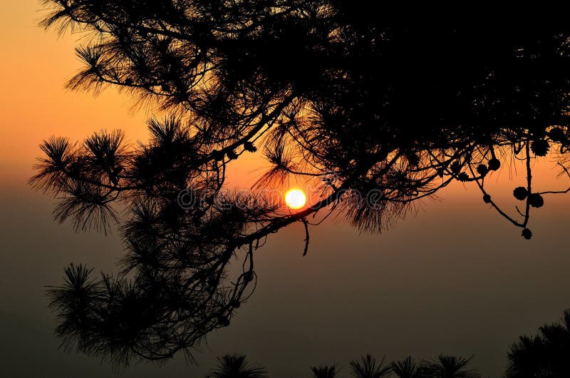 Sunset and shadow stock photo. Image of sunset, travel - 43926024