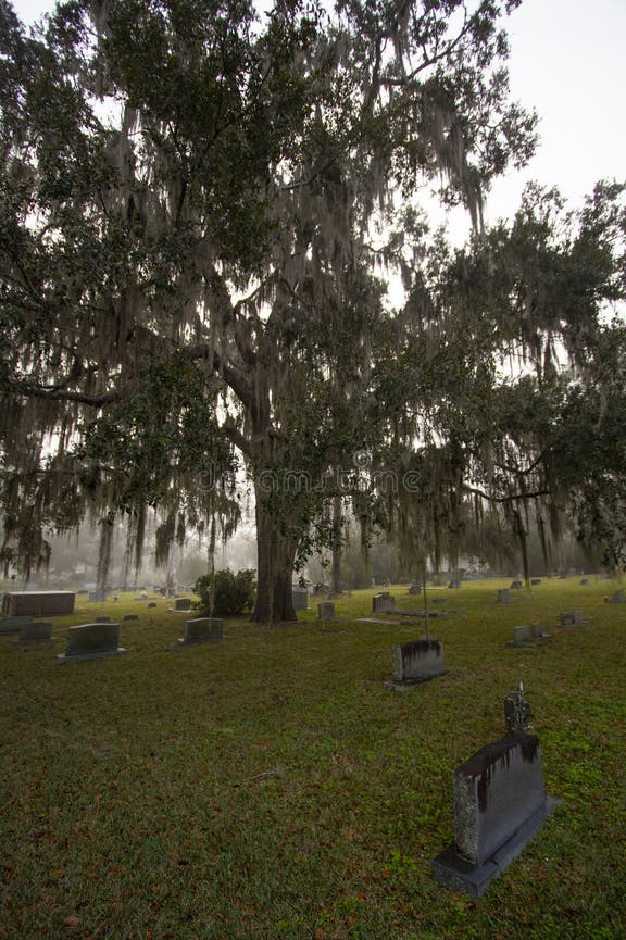 Fog in a Cemetery at Sunset Stock Photo - Image of tombstones, spring ...