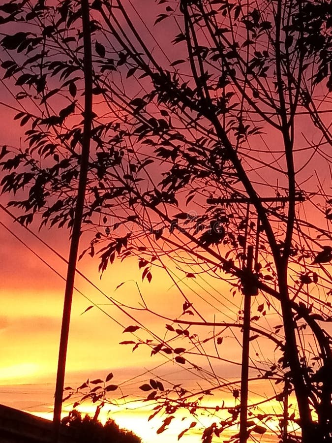 Sunset after the Thomas Fire Stock Photo - Image of thomas, life: 164076772