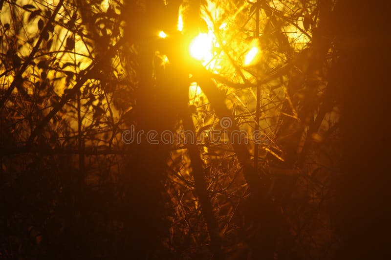 Jgloeerie Stock Photos - Free & Royalty-Free Stock Photos from Dreamstime