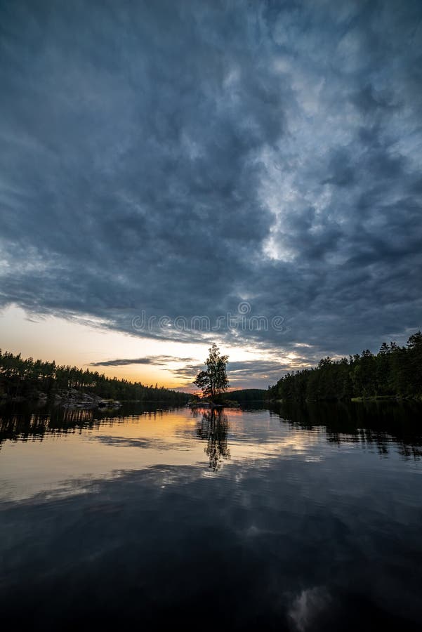 Sunset thunder stock image. Image of evening, forest - 121354645